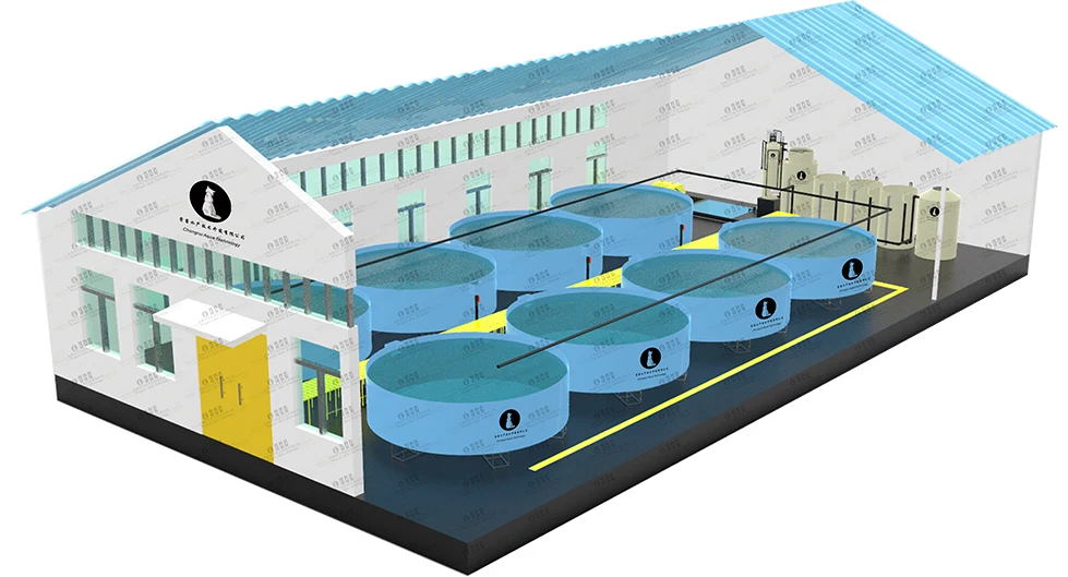 CATAQUA Aquaculture Equipment Indoor Fish Farm Ras System Recirculating ...