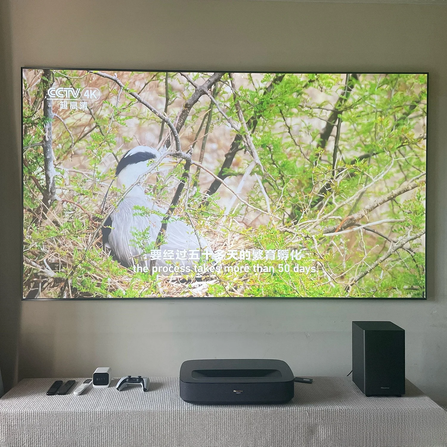 Hisense Laser TV 100 Inch - Immersive 4K Cinema Experience
