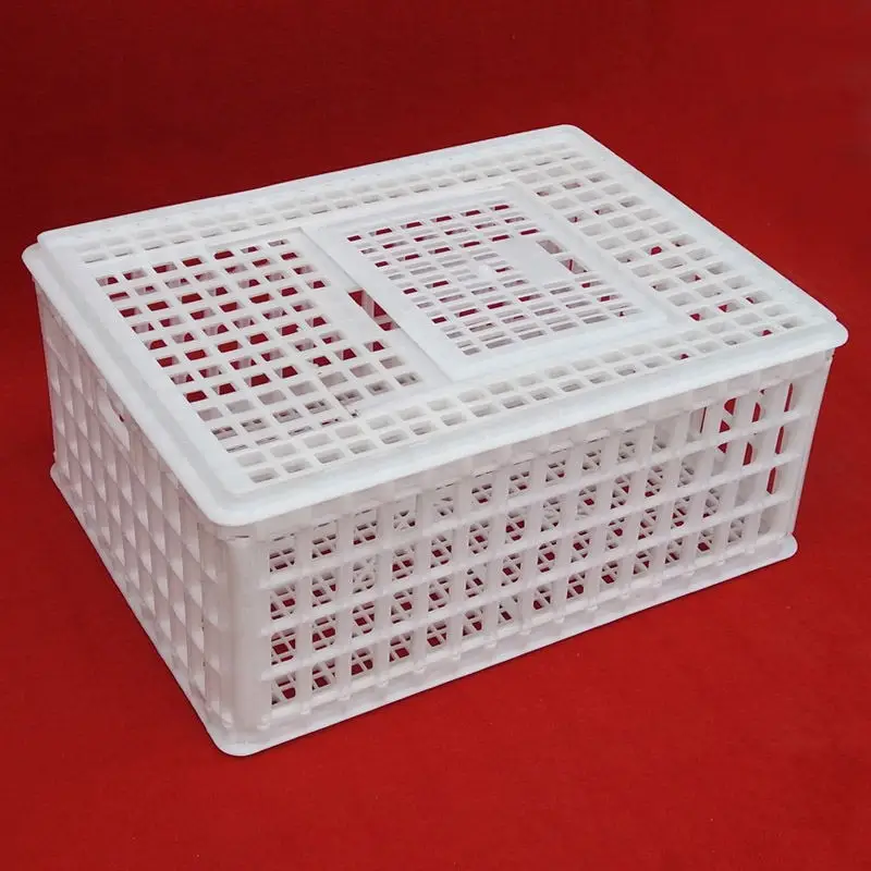 HDPE Plastic Chicken Transport Crate - Poultry Carrying Boxes