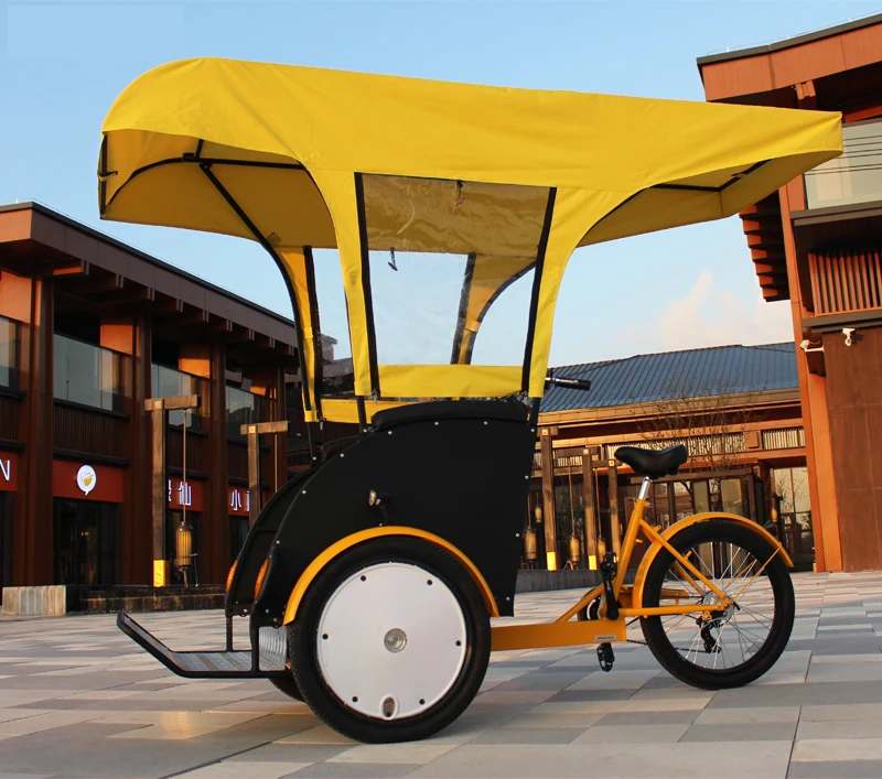Reverse Rickshaw - Electric Pedicab for Disabled Elderly