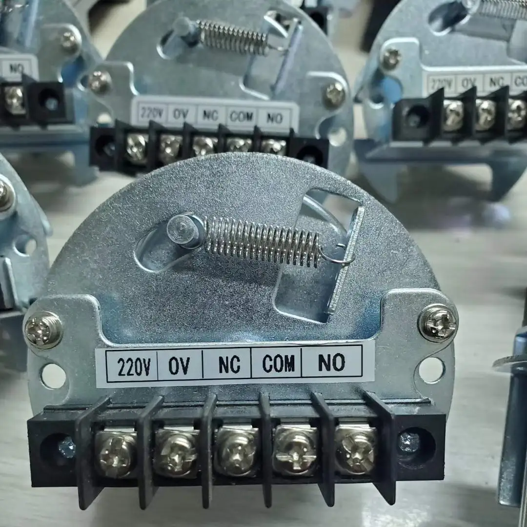 Rotary Paddle Level Switch for Solid and Powder Material Handling ...