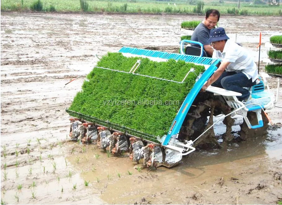 Efficient Rice Transplanting with YIZE Machines in Philippines