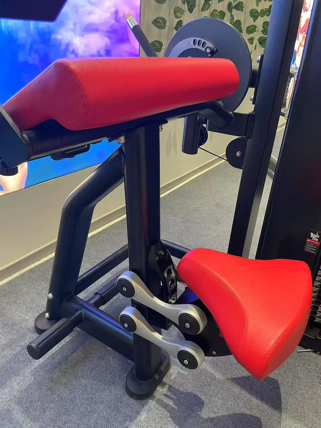 Bicep Blaster 45° Curl Station - Versatile Fitness Equipment for All ...