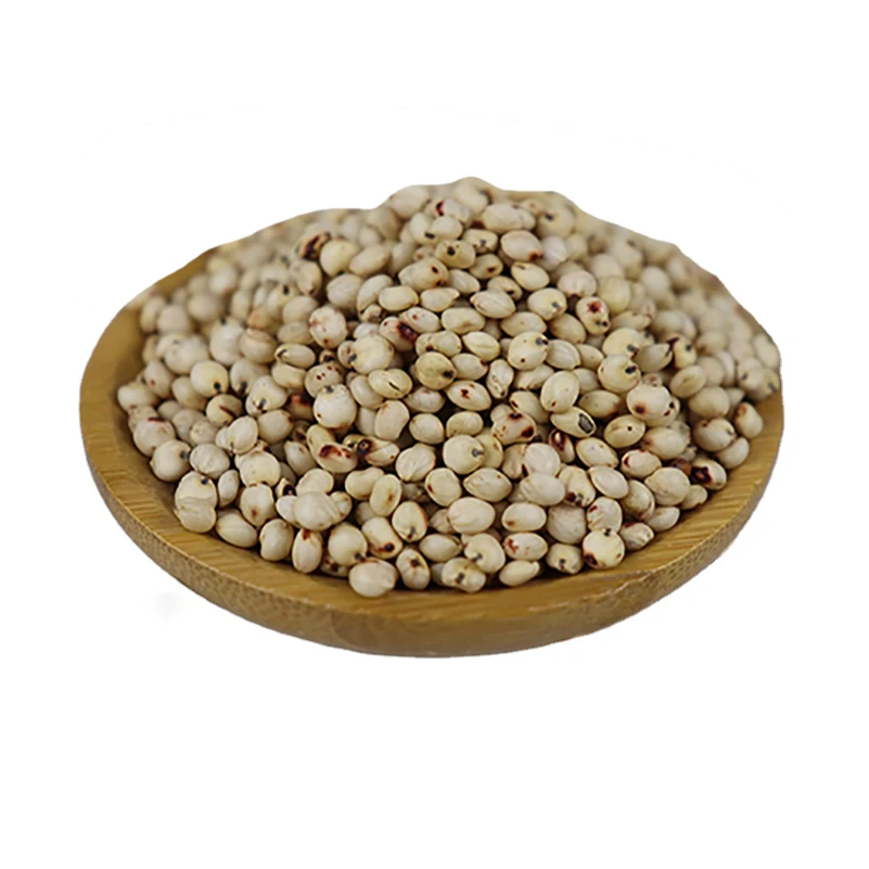 Organic Sorghum White Milo Grains Sorghum Price Pe White Sorghum - Buy ...