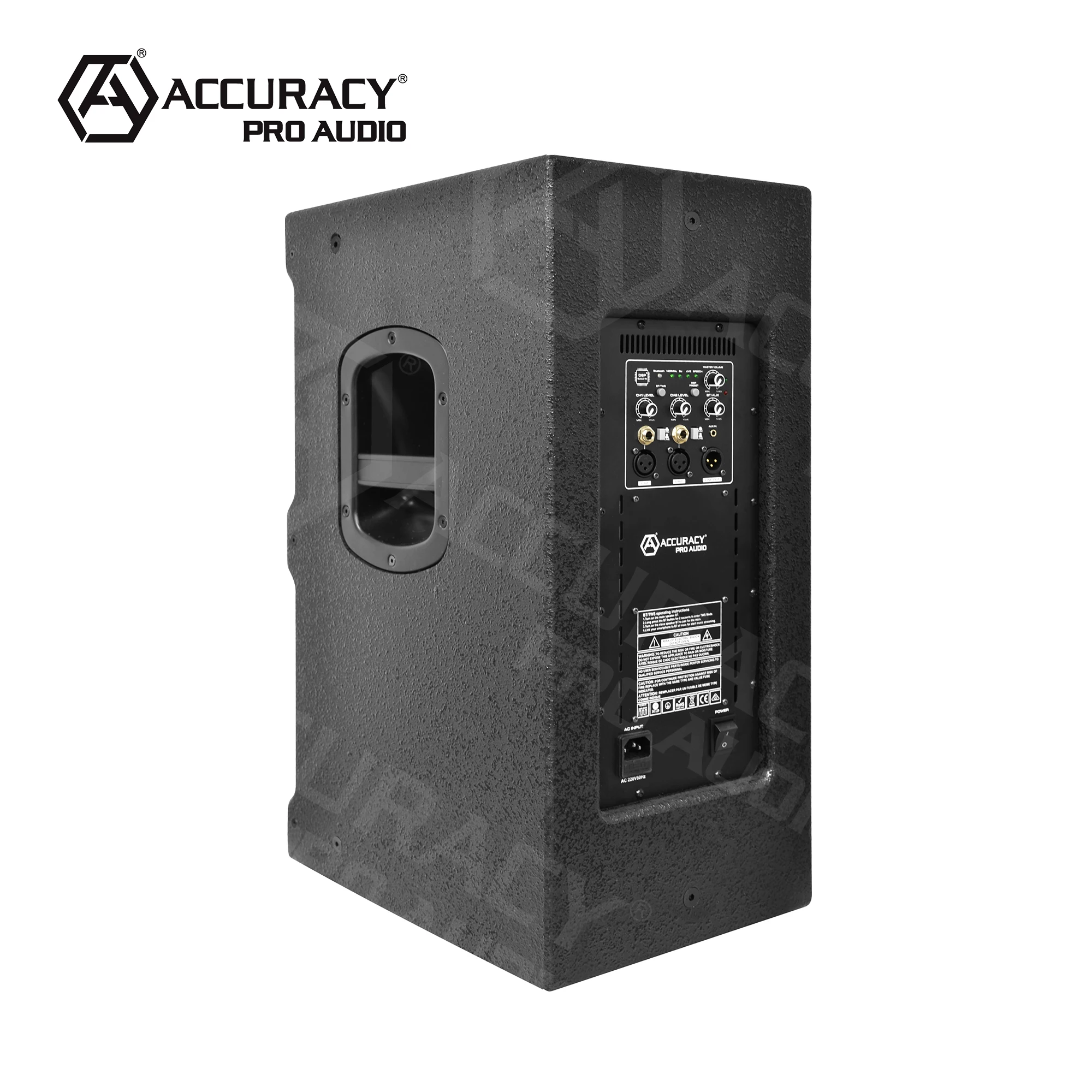 Accuracy Pro Audio WQ12D6 - 500W Active Wooden Speaker