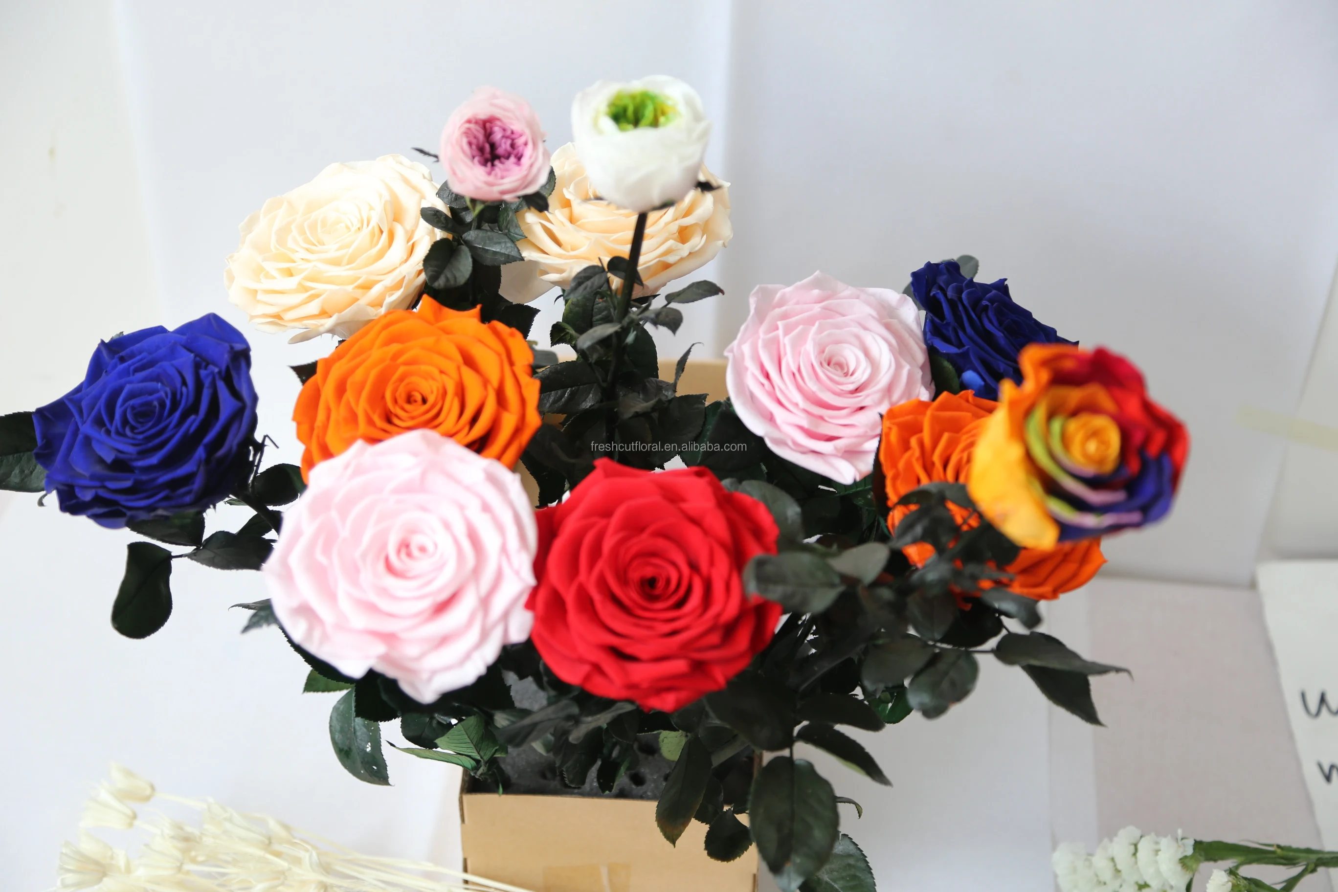 Top Quality Long Lasting Roses Real Preserved Roses Wholesale From ...
