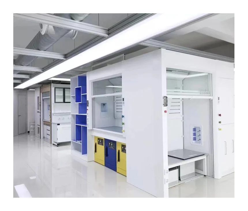 Laboratory Steel Fume Cupboard Lab Equipment Portable Walk In Fume Hood ...