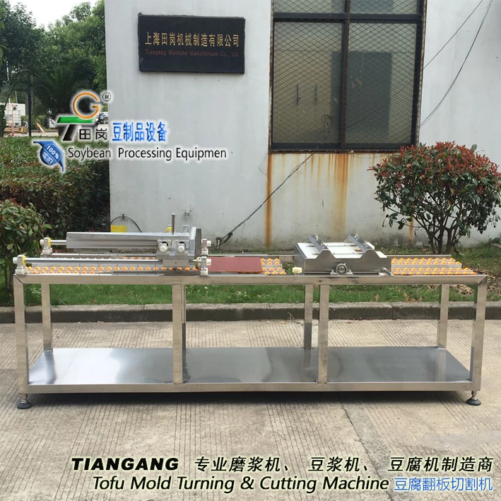 TG-300 Tofu Machine - High Productivity & Reliable Quality