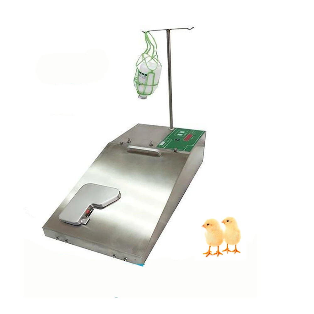 Automatic Chick Vaccinating Machine & Feeder for Poultry - OEM