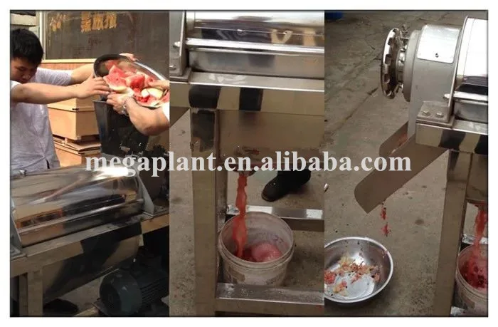 Industrial Fruit Pineapple Watermelon Juice Extractor