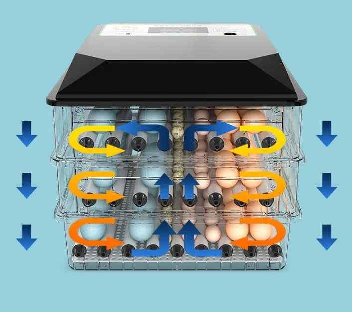 Automatic Incubators - Efficient Egg Hatching Solutions