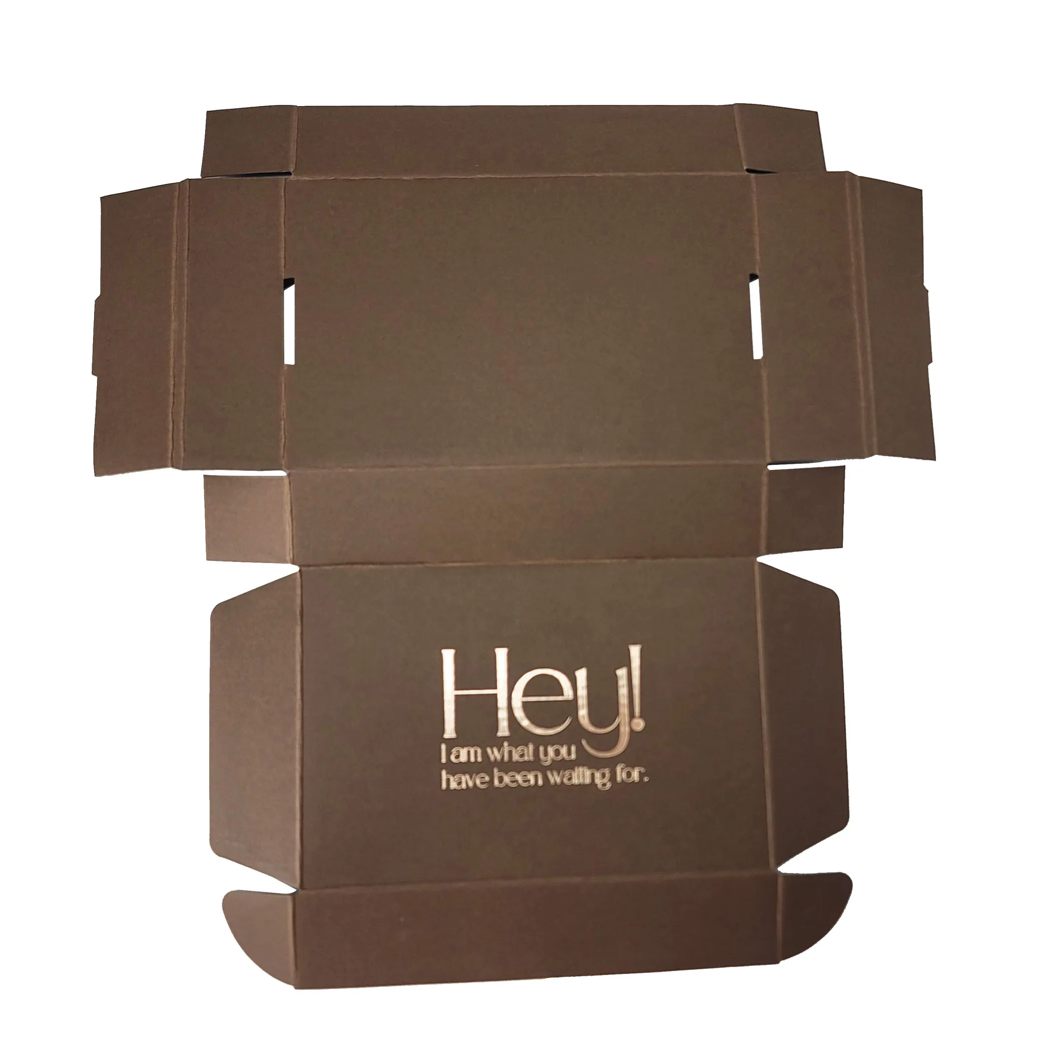 C3 Custom Luxury Kraft Corrugated Paper Box Design Beauty Flip Lid ...