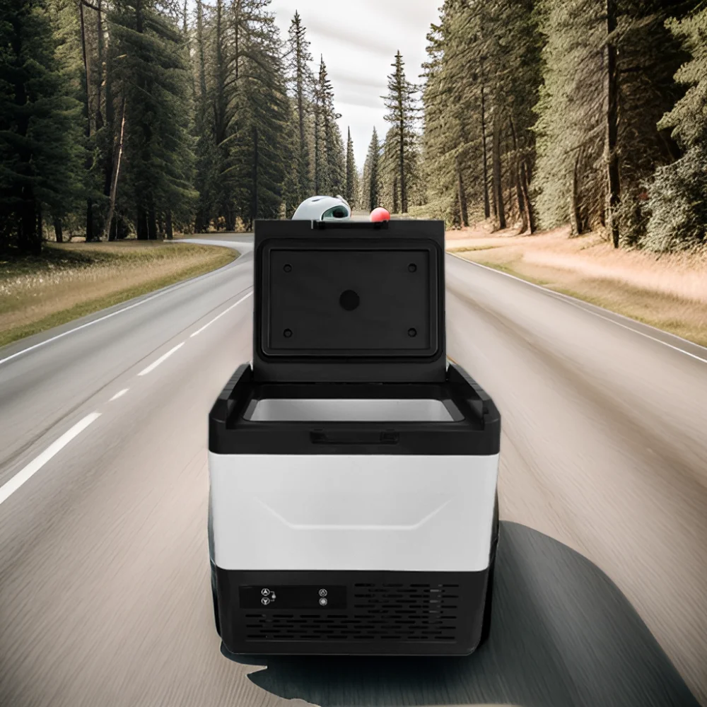 Ef12 Luxury Car Fridge 12l Portable With Custom Packing Design 12v Dc ...