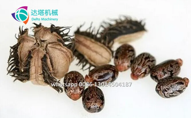 Efficient Castor Bean Dehulling Machine - High Capacity