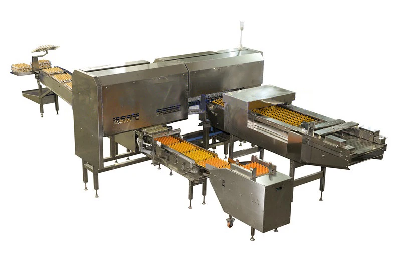 High Efficient Farm Chicken Egg Packing Machine - Farm Packer