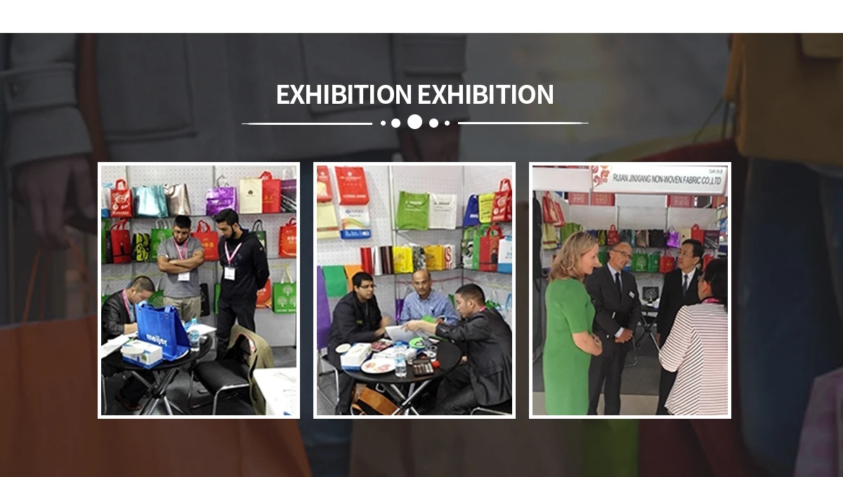 Wenzhou Jinxiang New Material Co., Ltd. - Non woven bag, Non-woven fabric