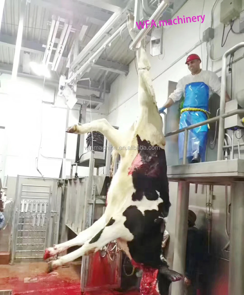 Professional Cattle Slaughter Equipment Bleeding Hoist For Cattle ...