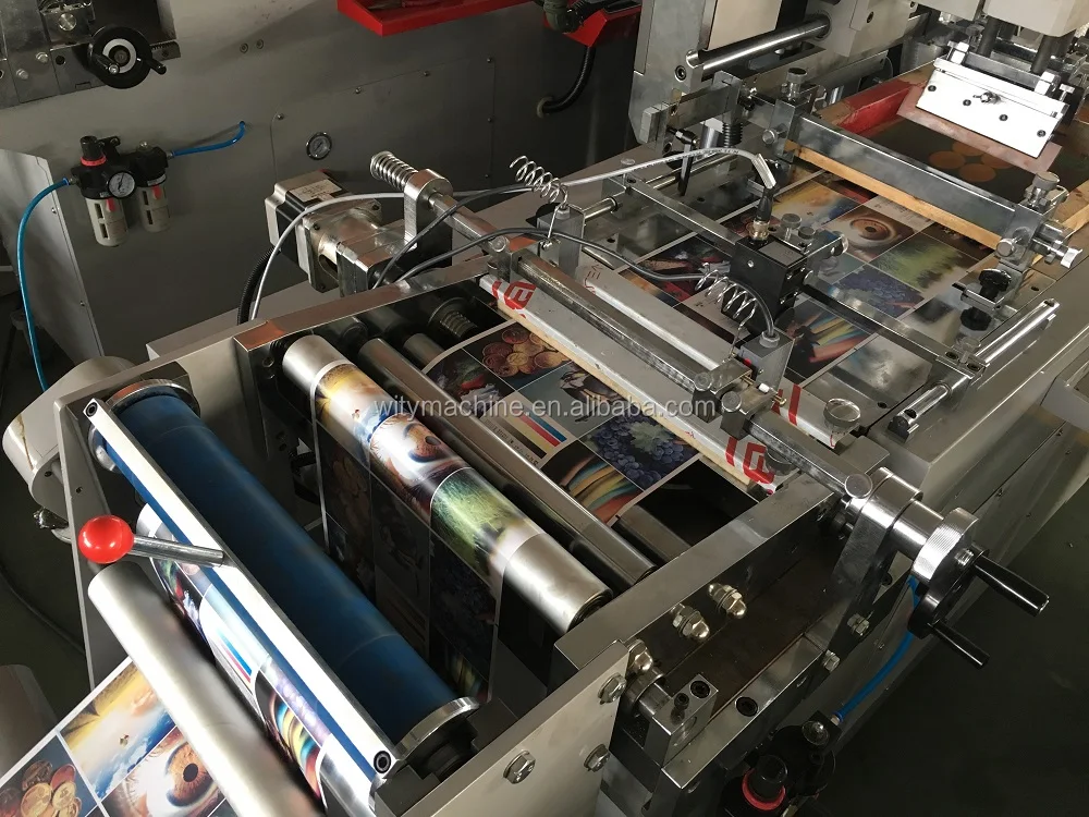 Automatic Roll to Roll Screen Printing Machine - 1 Year Warranty