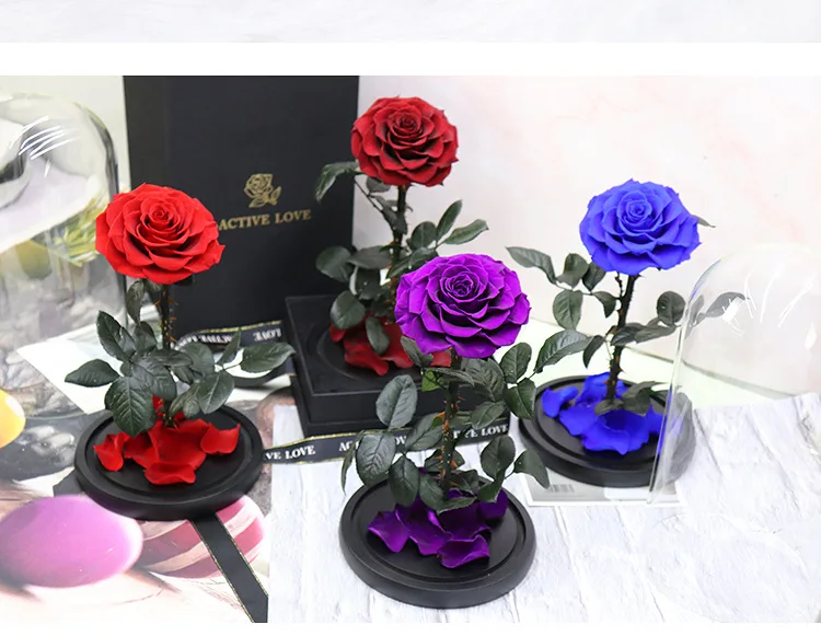 Long Stem Preserved Single Roses Real Life Long Lasting Garden Rose ...