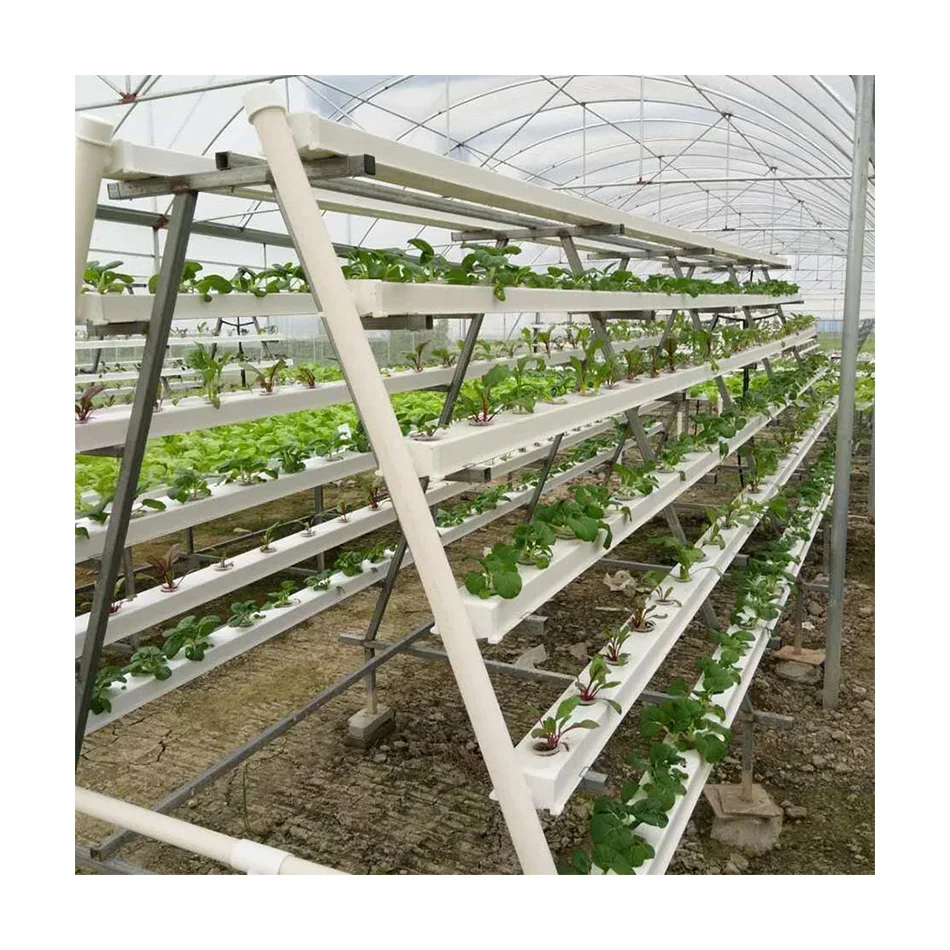 Hydroponic Nft System Vertical Hydroponic Growing System Pvc Pipe For ...