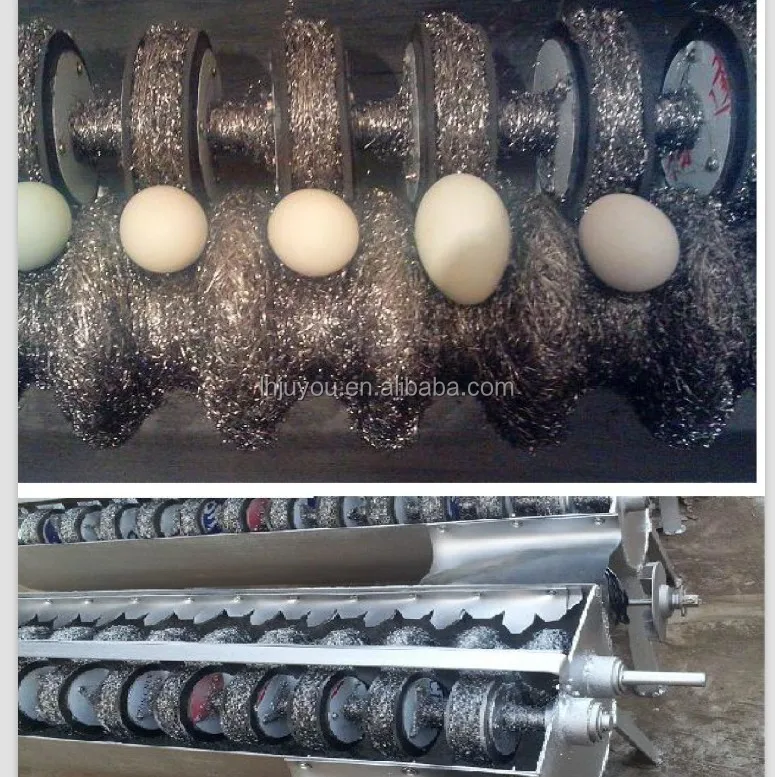 Automatic Egg Washer - Efficient Salted Duck Egg Cleaning