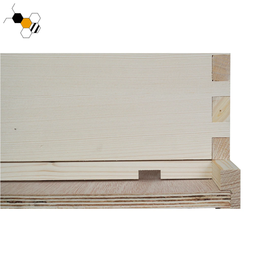 Beekeeping 2 Layer Pine Wood Beehive - 10 Frames Langstroth