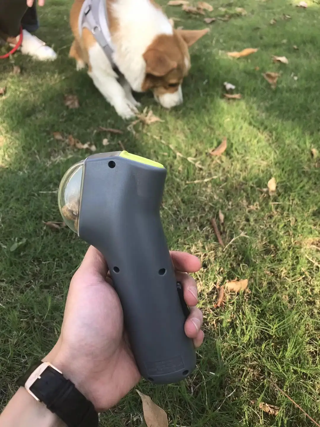 Dog Interactive Training Toy - Pet Snack Catapult Launcher