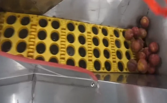 Electric Pitting Machine Industrial Peach Pitting Machine Dry Dates ...