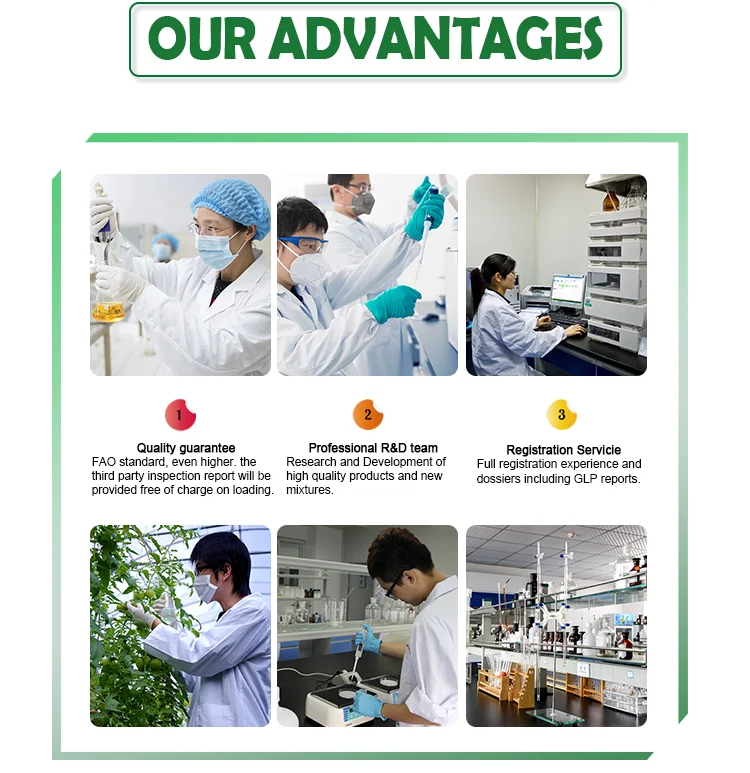 Pgr Plant Growth Regulator Ethephon Etefon Ethrel 48%sl 40% Sl Ethephon ...