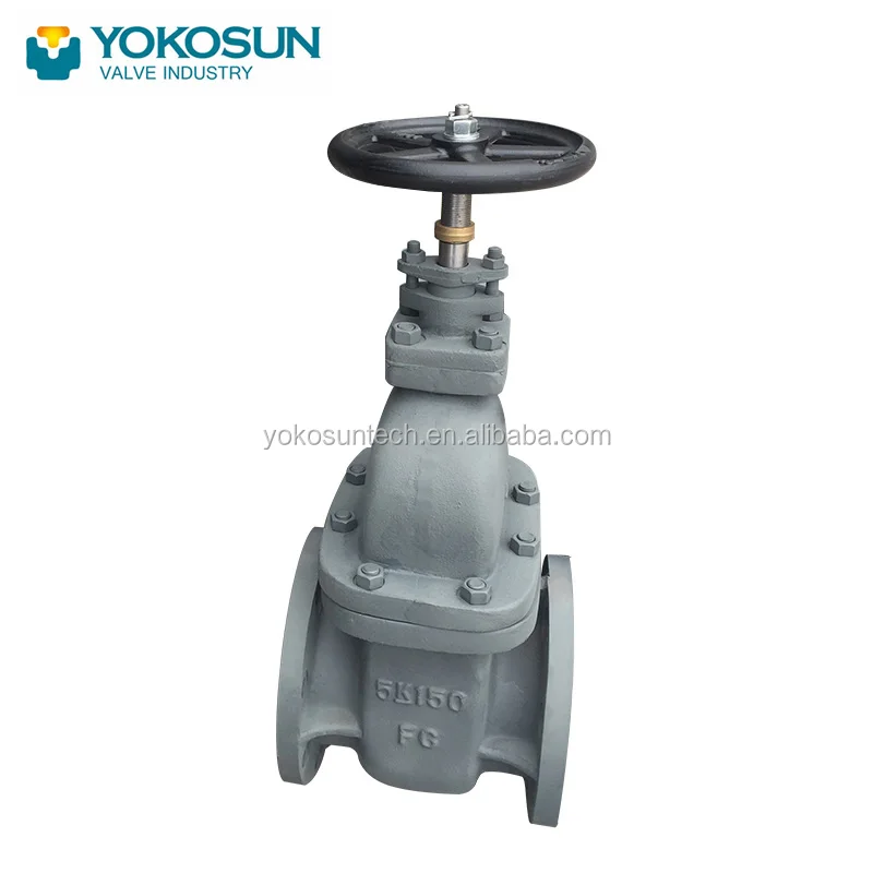 JIS F7363 Marine Cast Iron Gate Valve 5K - Durable & Reliable