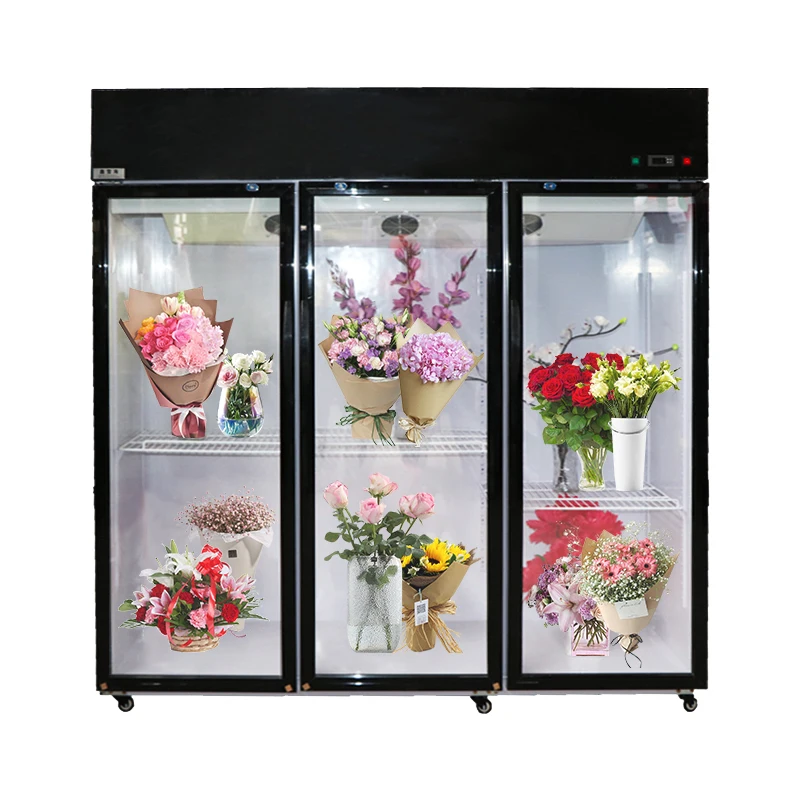 2022 Luxury New Style High Quality Upright Fresh Flower Display Air ...