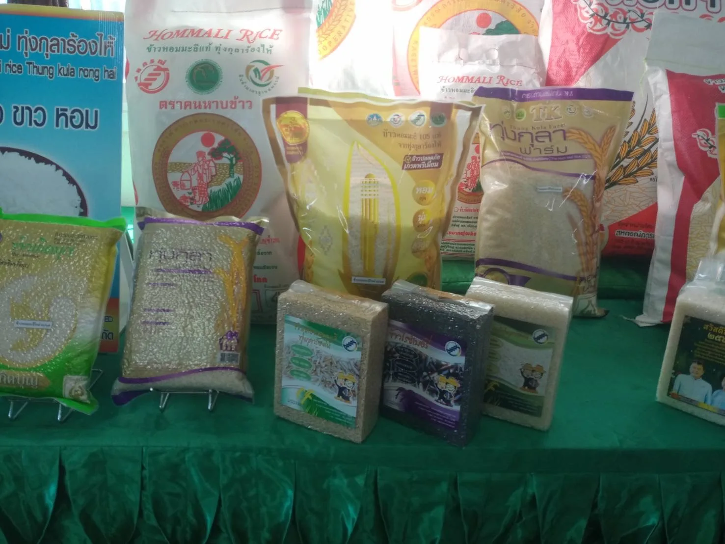 Thai Jasmine Rice Thung Kula Farm Good Rice Premium Grade For Export ...