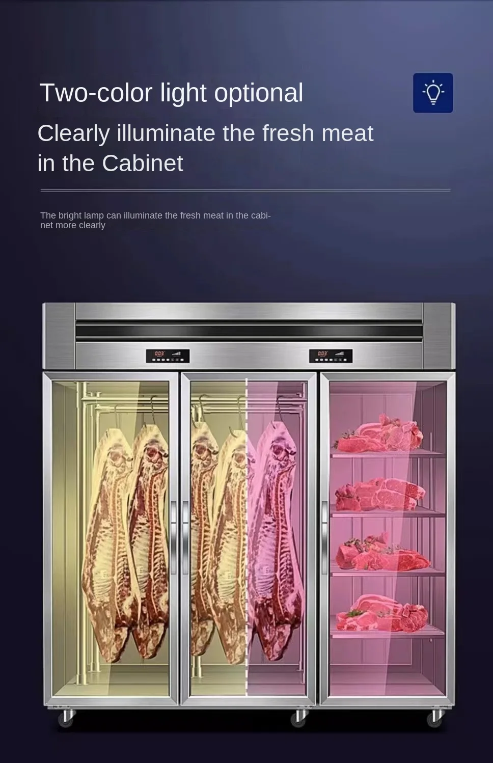 Commercial Vertical Freezer Acid Discharge Meat Preservation Cabinet ...