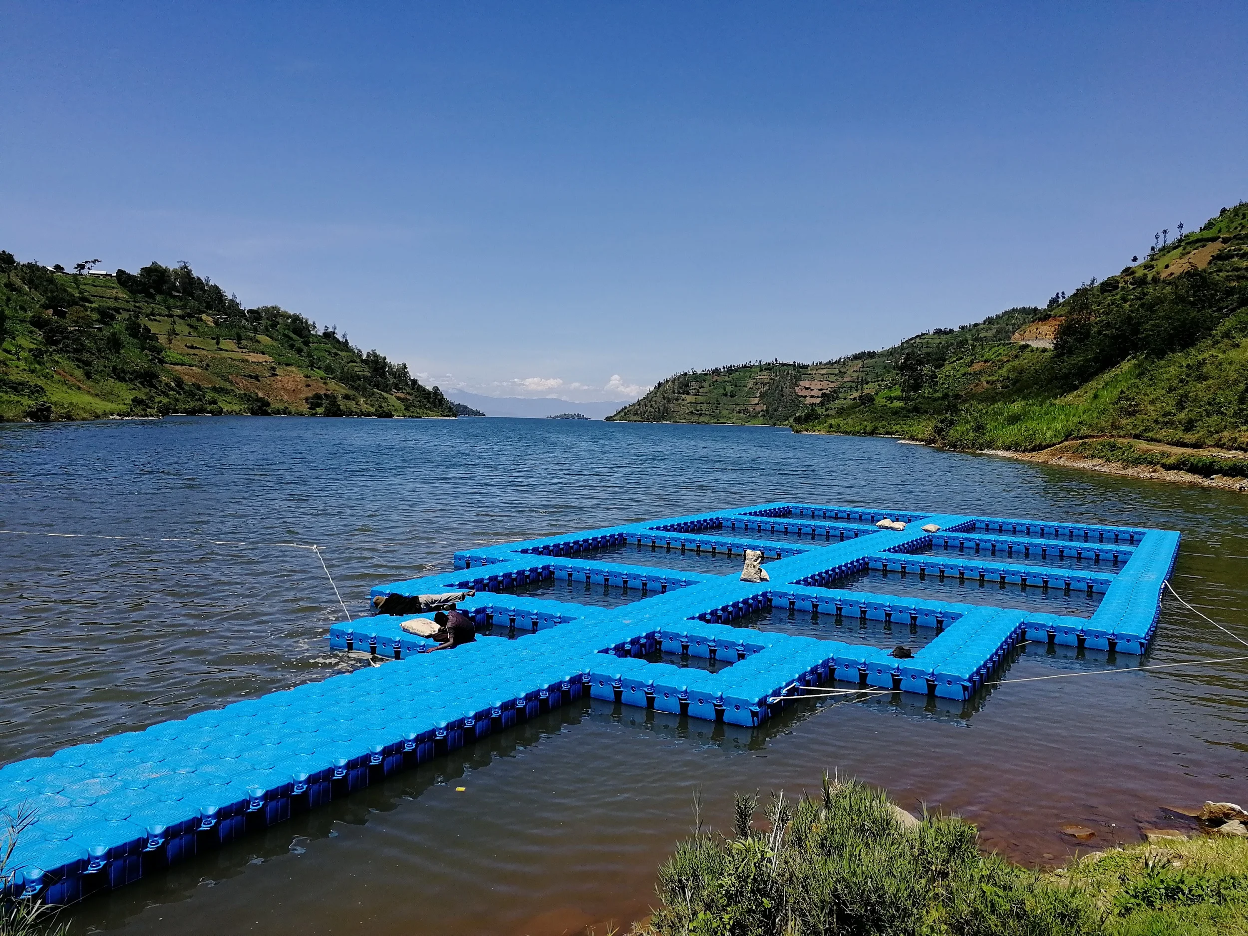 8mx8m Aquaculture Square Cage Fish Trap for Sale - Durable & Efficient