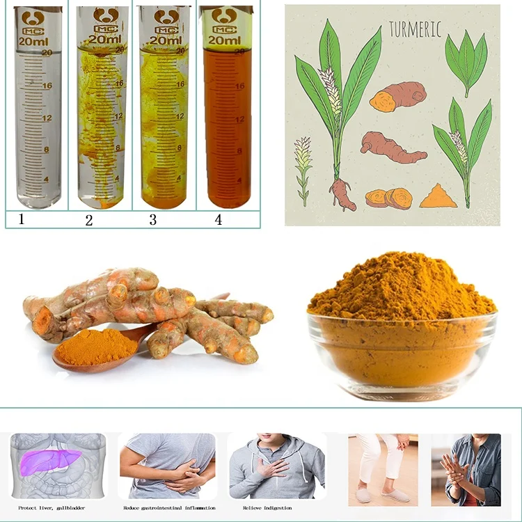 Hongda Usp Curcumin Extraction Plant Curcumin Extract 95% - Buy ...