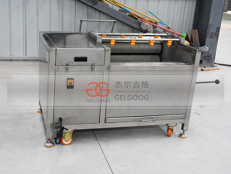 Automatic Beet Horseradish Washer - Efficient Radish Cleaning