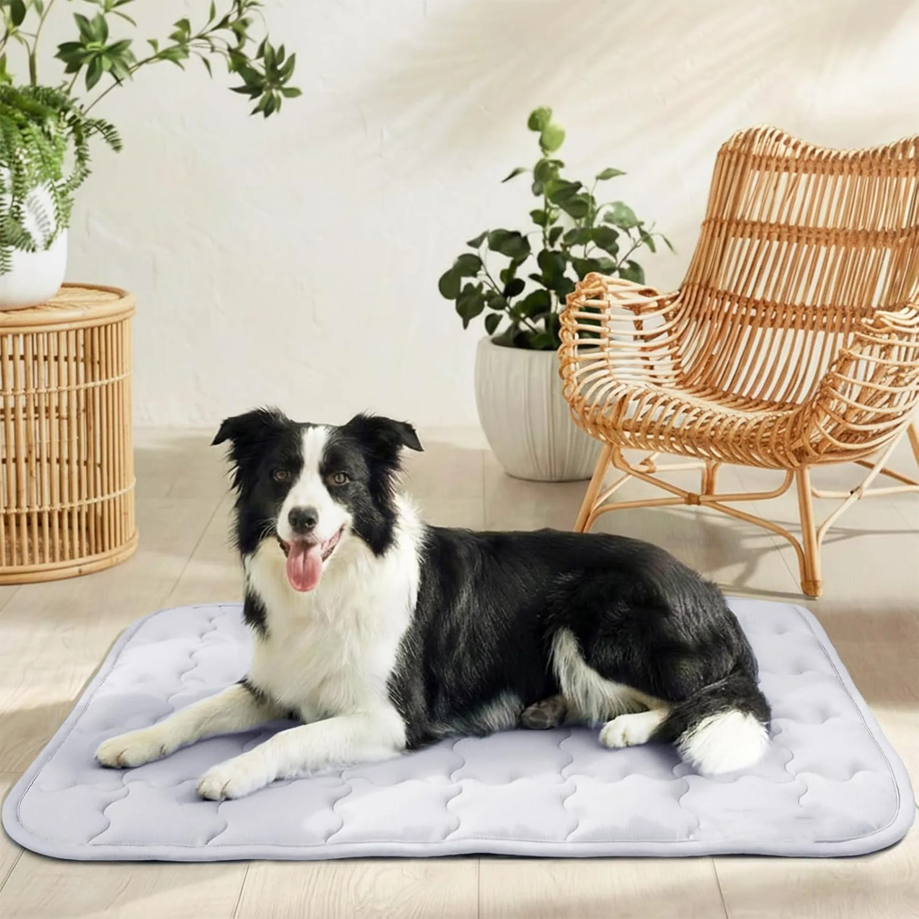 How to Choose a Cooling Mat for Cats: A Practical Guide