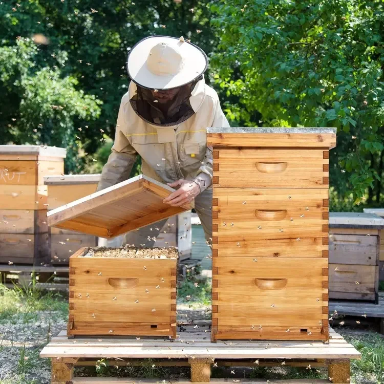 4 Layers Complete Langstroth Beehive Box - Bee Keeping Tool