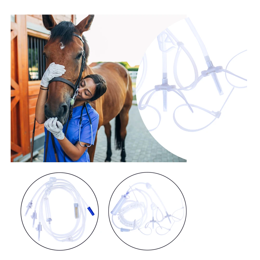 Equine Veterinary Instrument For Horses Accessory Products For ...