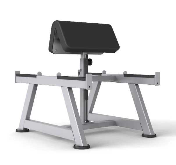 Preacher Curl Bench Stand Type Steel Fitness Equipment for Bodybuilding ...