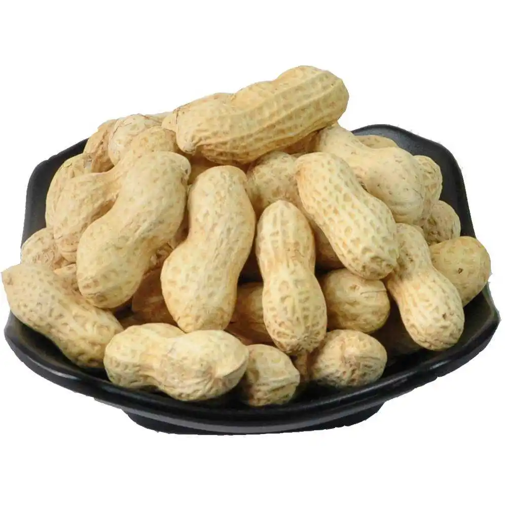Factory Price Peanut in Shell Black peanuts Bulk Sale peanuts Best ...