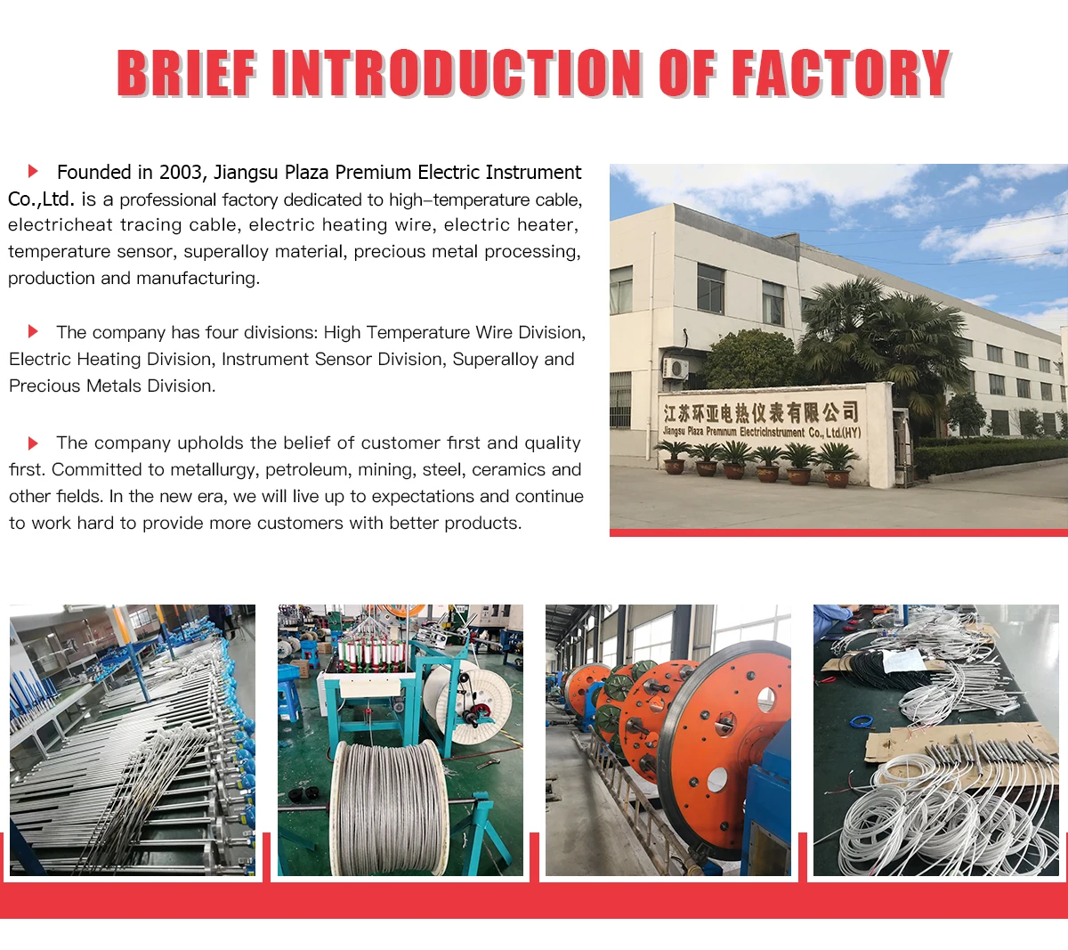 High Temperature Platinum Rhodium Thermocouple with Corundum Tube