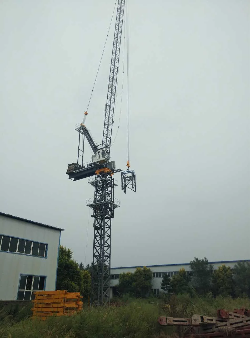 Crane with Derricking Jibs Luffing Jib Tower Crane Tower Crane