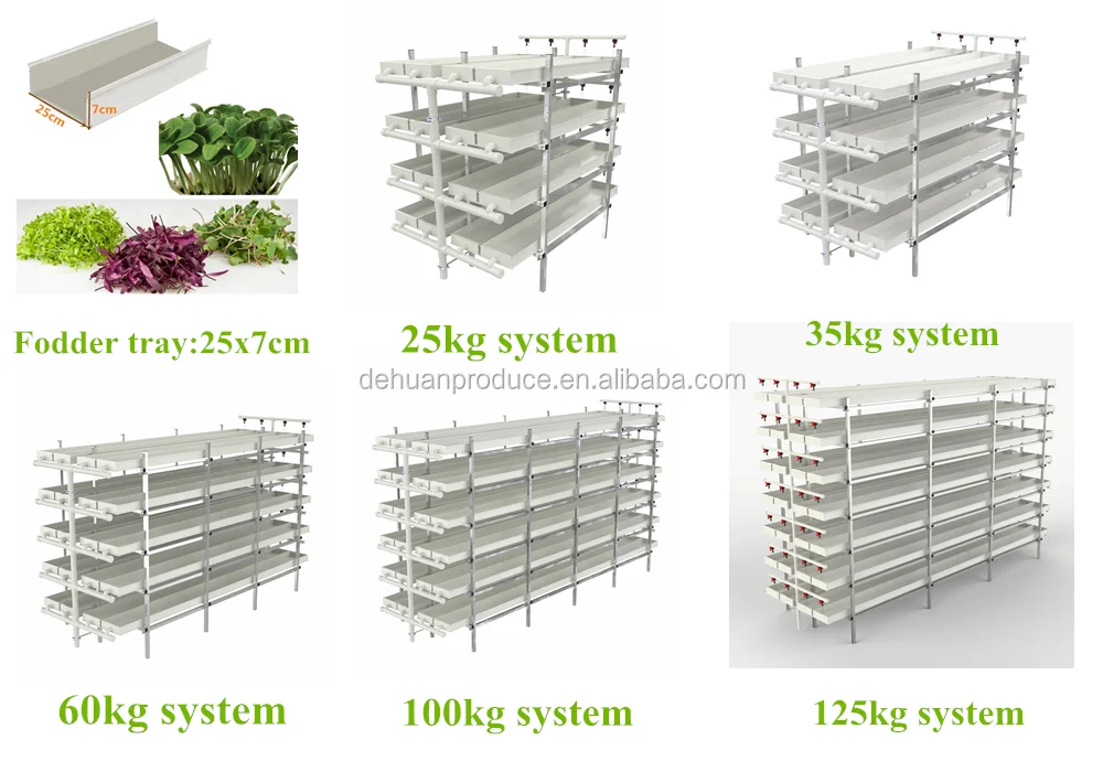 Hydroponic Fodder System - Efficient Barley Sprouting