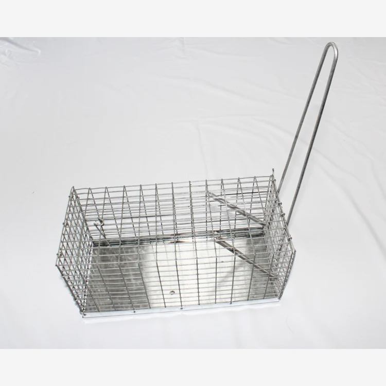 Humane Smart Mouse Trap With Sensor Technology Live Catch Release ...