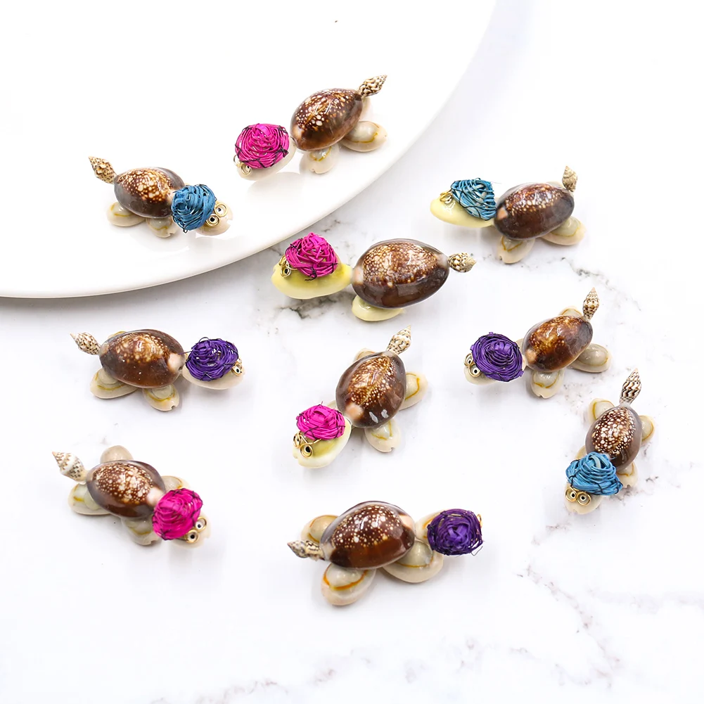 Natural Seashells Beach Handcraft Make Turtle Shape Sea Shell For Home ...