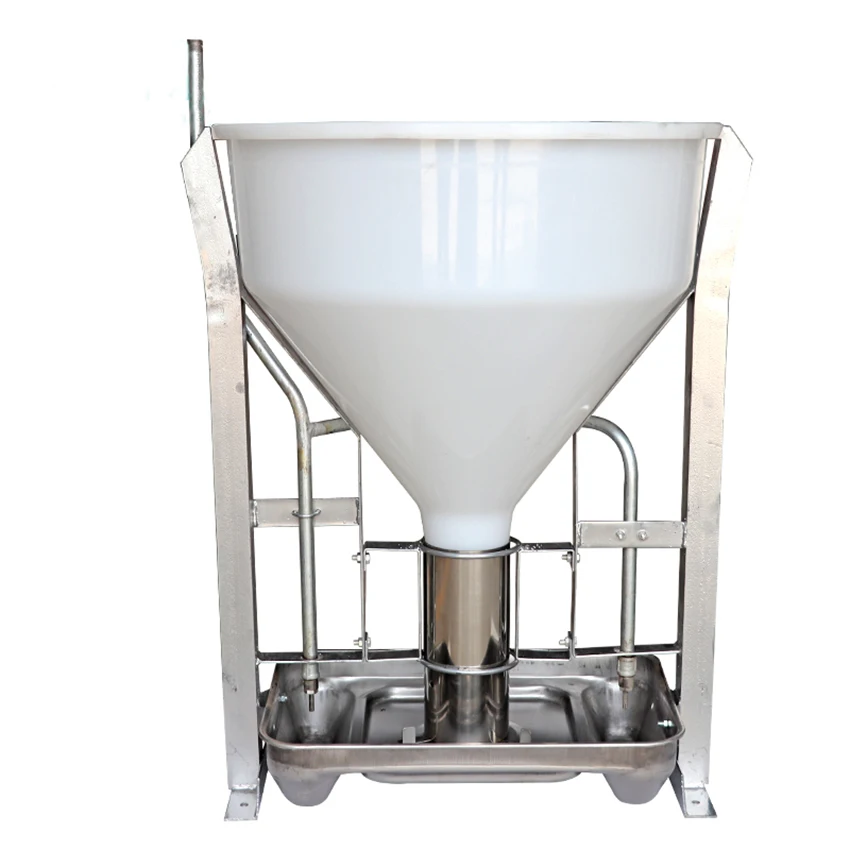 Pig Farm Stainless Steel Automatic Pig Sow Feeding Equipment