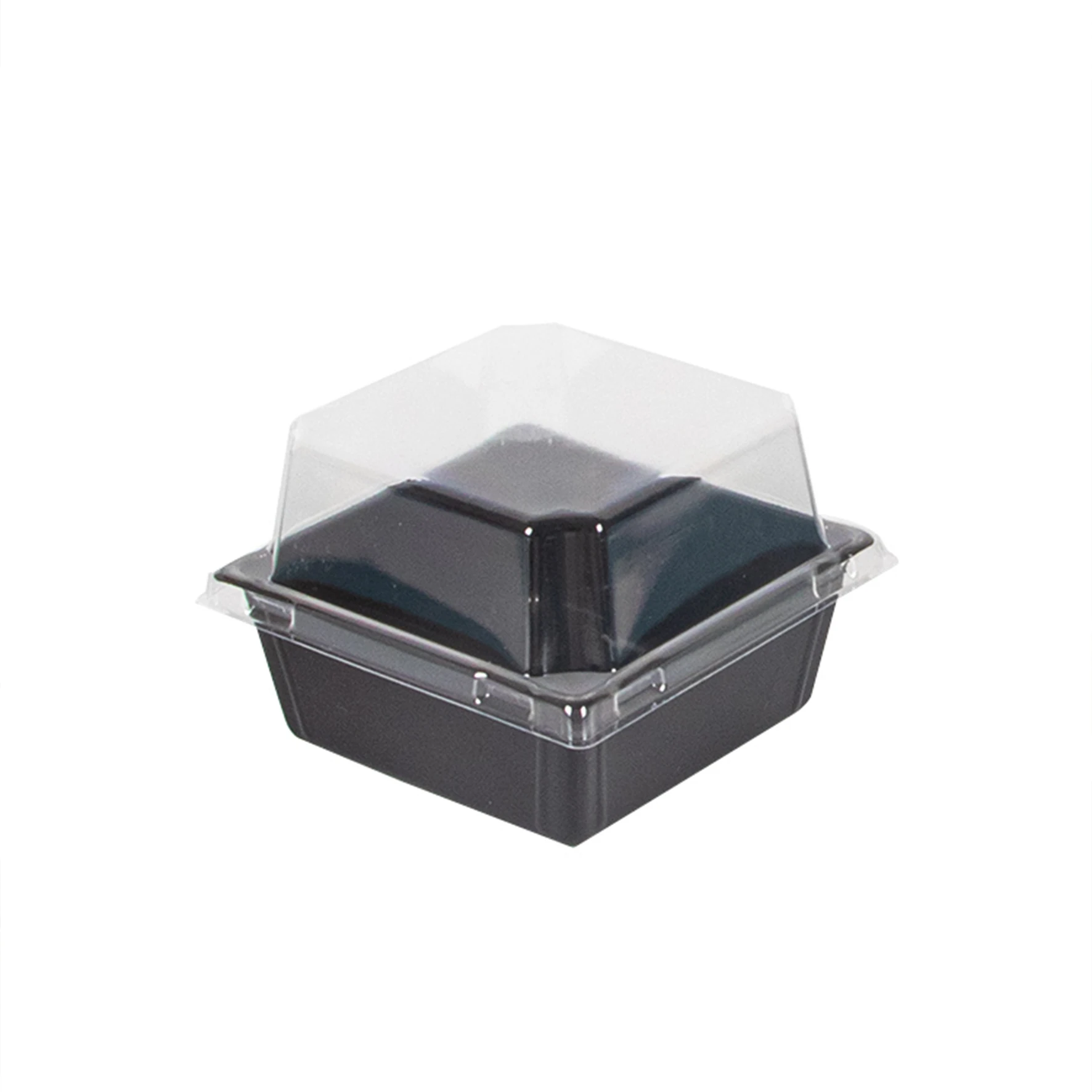 Ecofriendly Plastic Package - Melaleuca Mousse Cake Box