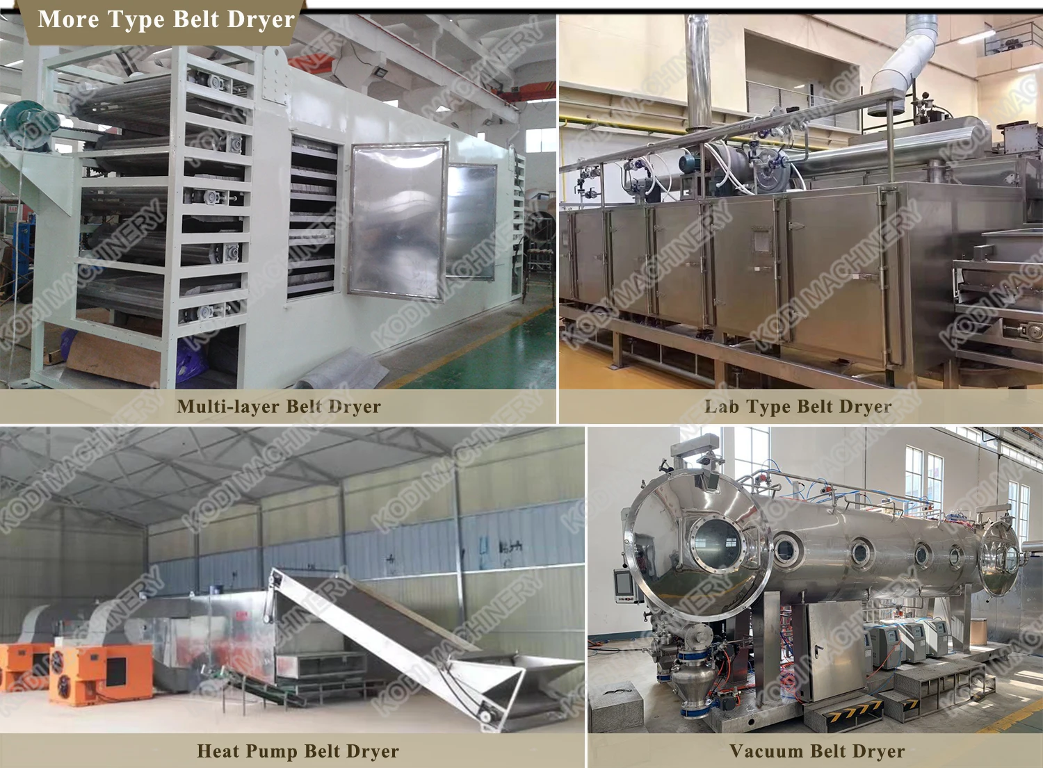Kodi Continous Seaweed Processing Machine Equipment - Buy Seaweed ...