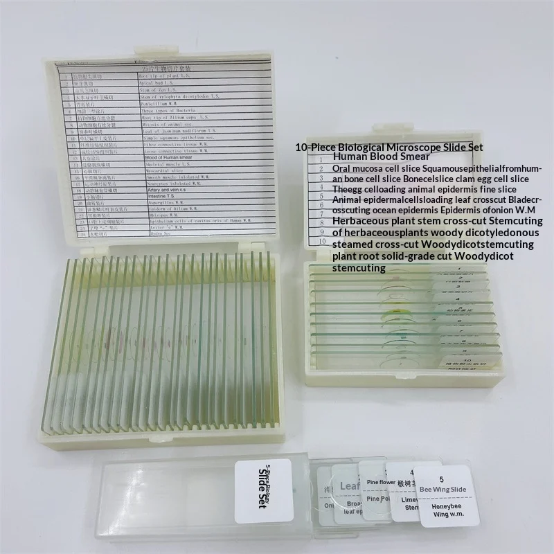 Biological Slice Specimens Complete Set Teaching Instruments for ...